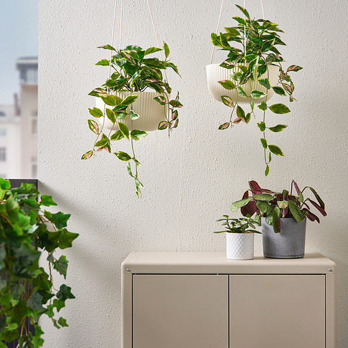 Artificial plants & flowers│ IKEA