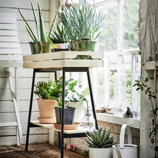 Flower pots, plant pots | IKEA Hong Kong and Macau